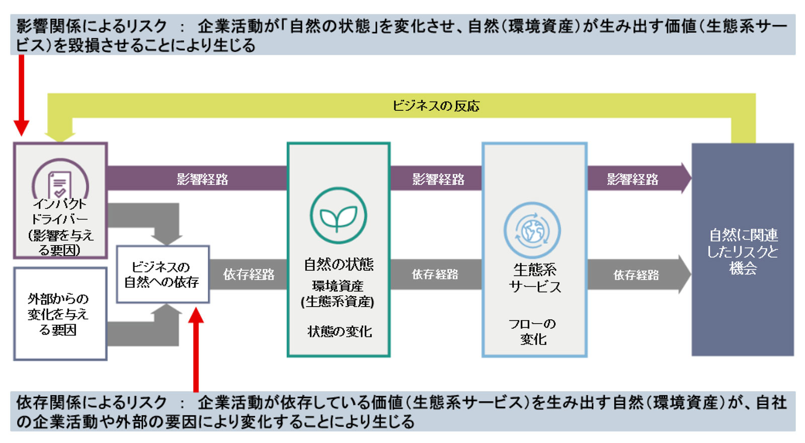 TNFDの基礎知識：最終提言に向けた連載（1）「自然の定義と依存・影響、リスク・機会」 | 三菱UFJリサーチ&コンサルティング